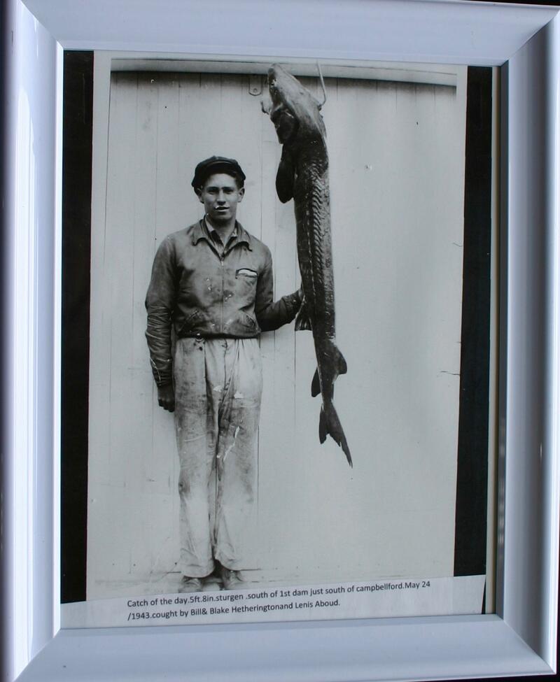 1943 photo of fish caught by Bill Hetherington | Cobourg and District ...